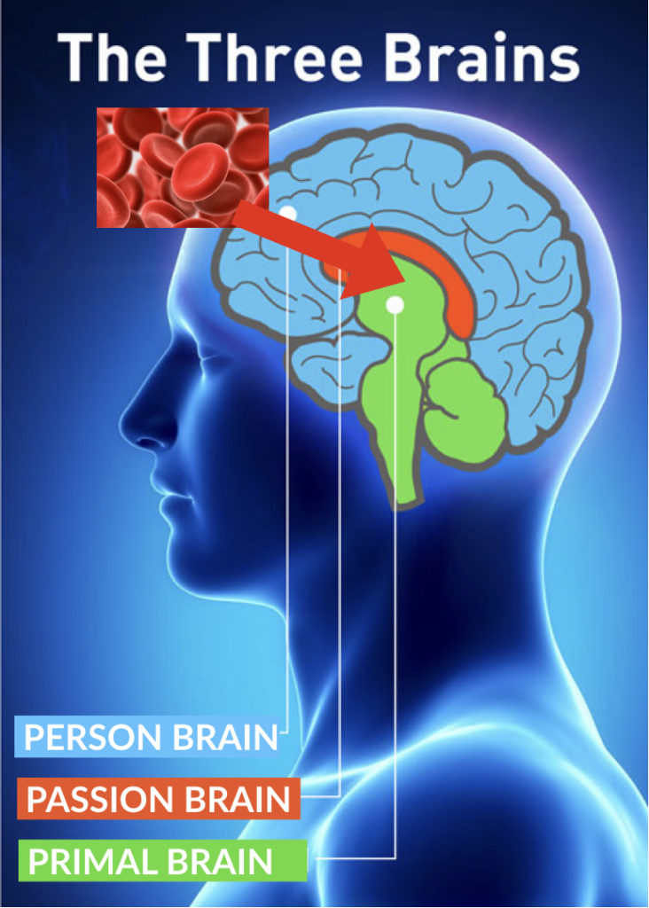 Nerves: How to Get Over Public Speaking Nerves and Anxiety - Hari Kalymnios